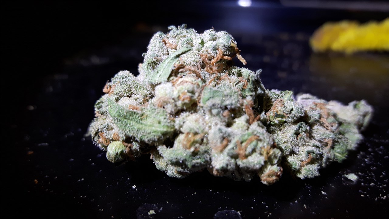 Raspberry Cough - Strains - Last Hippies